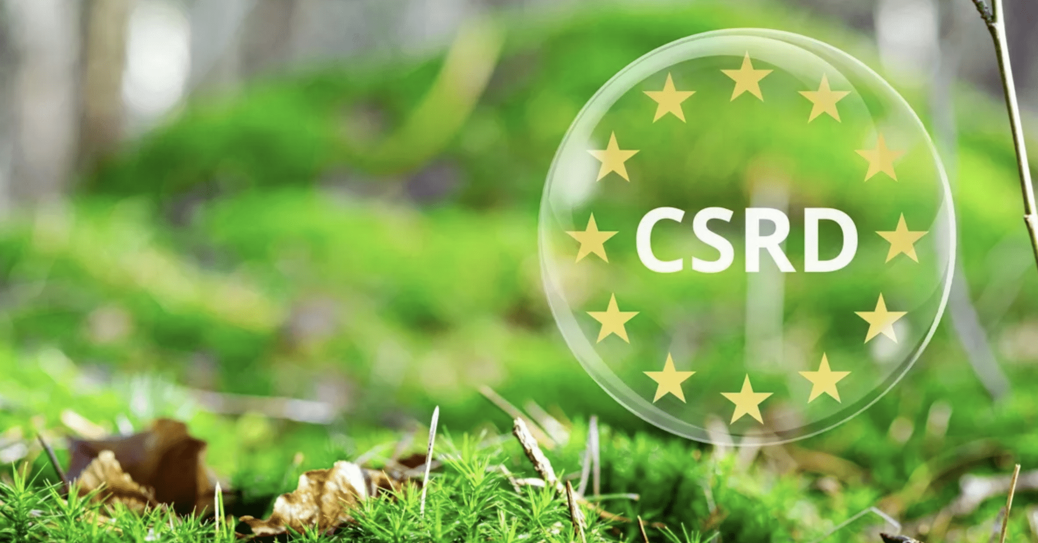 CSRD : Comprendre la norme ESRS E1 sur le développement durable